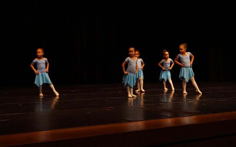 Recital 2018_Blue Bird - Manassas Ballet Theatre